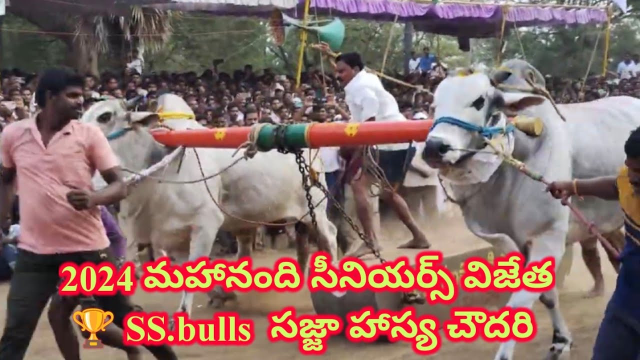 మహానంది సీనియర్స్ విజేత SS.bulls (2024) - YouTube