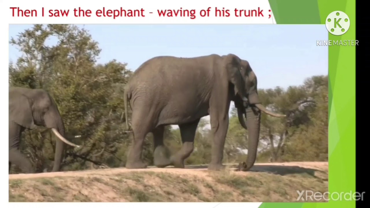 At the Zoo Poem Explanation - YouTube