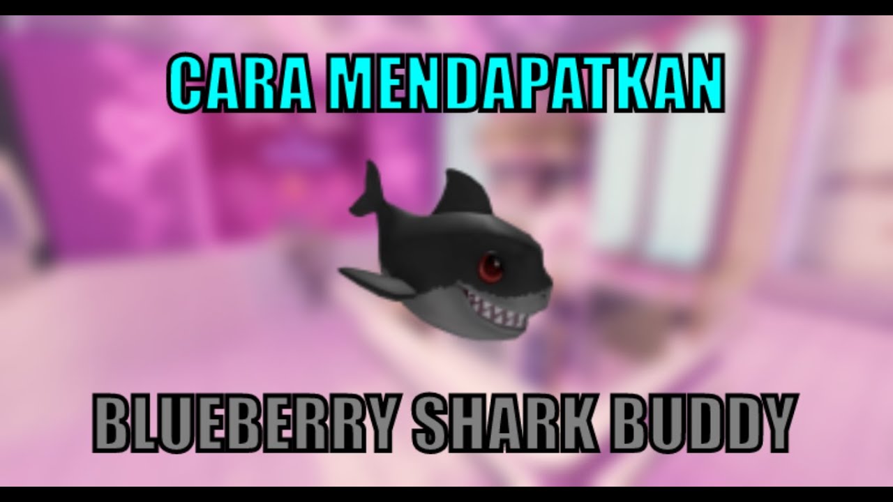 FREE ITEM! Cara Mendapatkan Blueberry Shark Buddy - YouTube
