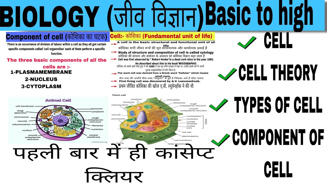full knowledge about cell || cell concept in one shot || cell is the ...
