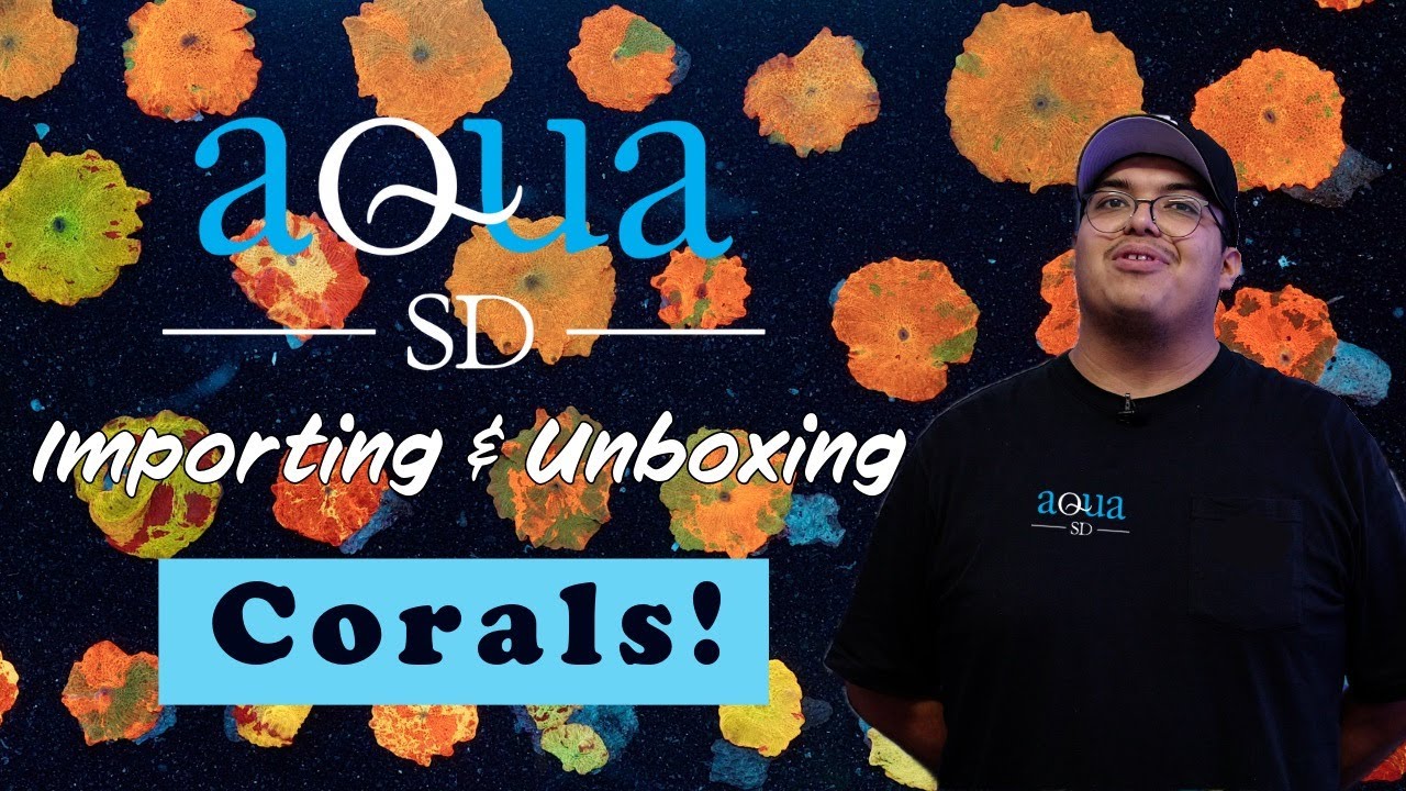 Aqua SD Youtube Video #4 - Coral Importing and Unboxing Video - YouTube