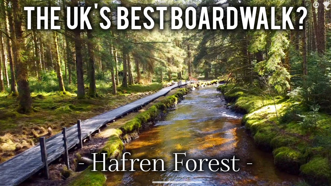 Hafren Forest - Uk's most beautiful boardwalk? A must visit! UK Hidden Gems. - YouTube