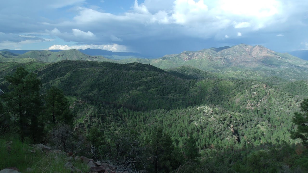 Driving U.S. Route 191 in Arizona. Scenic Road and Wildlife. - YouTube