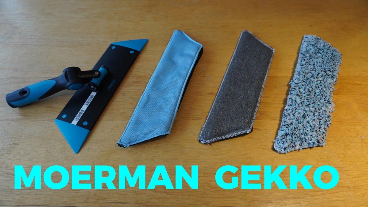 Moerman Gekko - YouTube