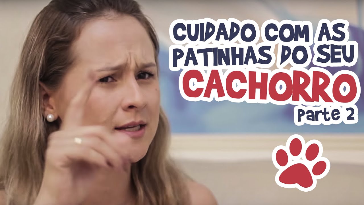 Cuidando das patinhas Parte 2 e Dicas para um passeio feliz - YouTube