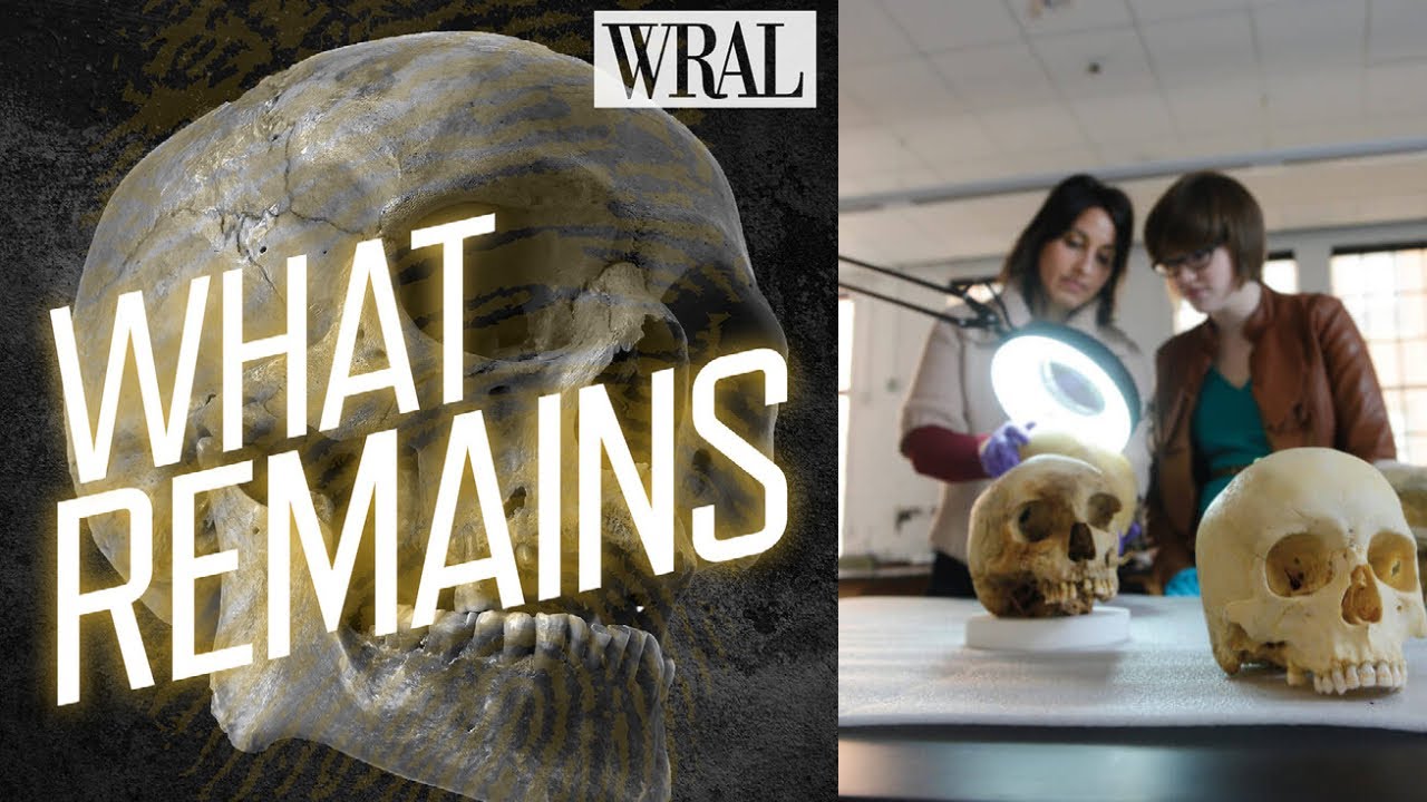 Forensic Anthropology Lab Smithsonian