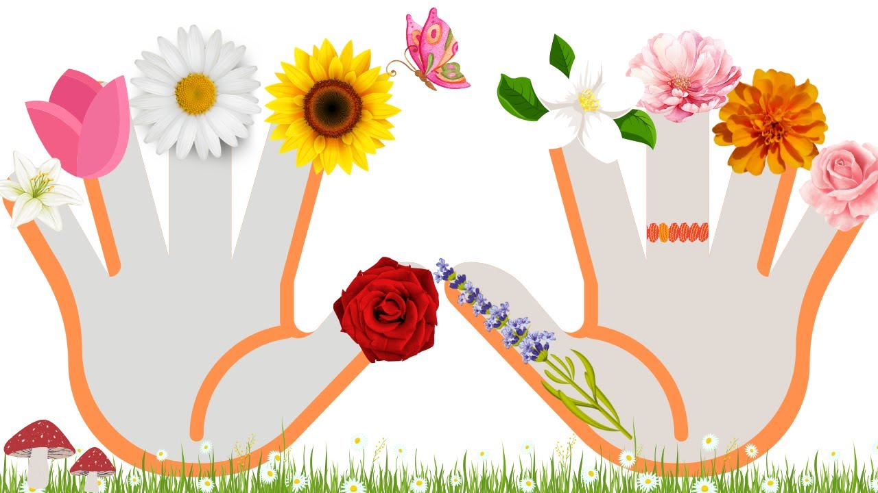 Finger Family Finger Family| Flowers Family| Top 10 Beautiful Flowers ...