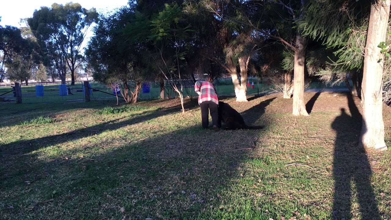 4 10:5 Urshie L around tree GOAD - YouTube