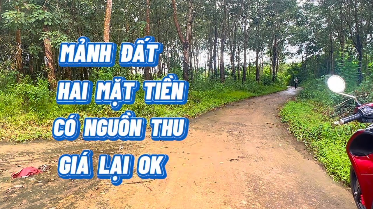 (271)MẢNH VƯỜN CA SU 2 MẶT TIỀN ĐƯỜNG BÊ TÔNG GIÁ LÀ OK Zlo (0968717978 ...