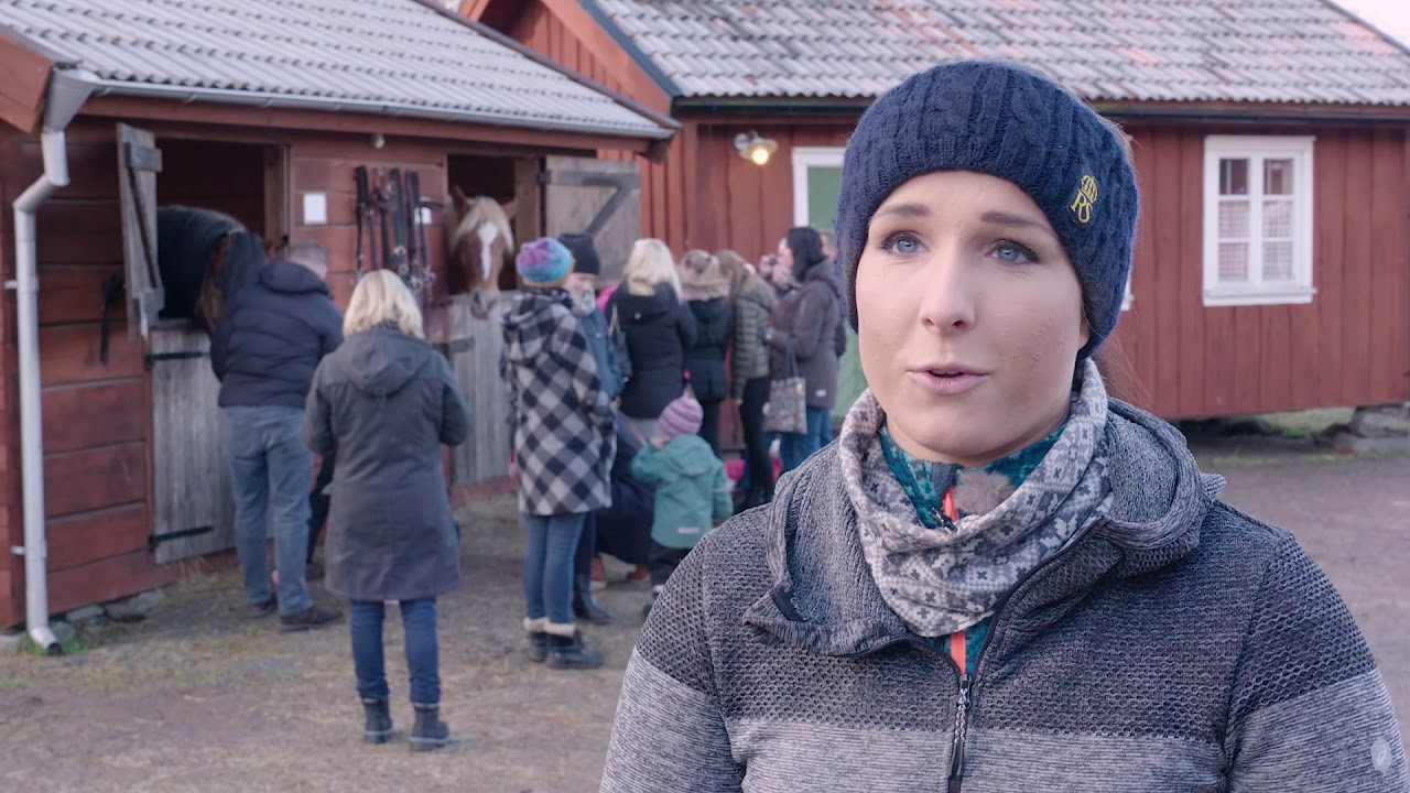 Emma Andersson - Brukshästkusk - YouTube