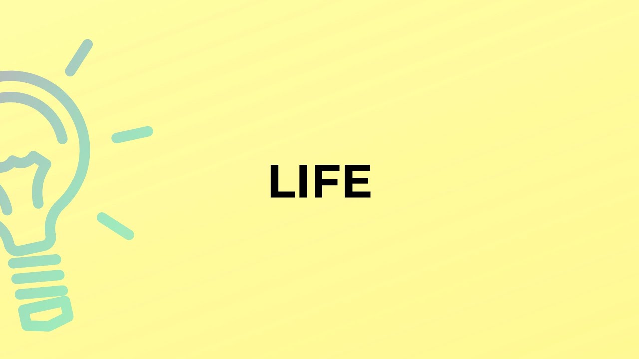 What is the meaning of the word LIFE? - YouTube