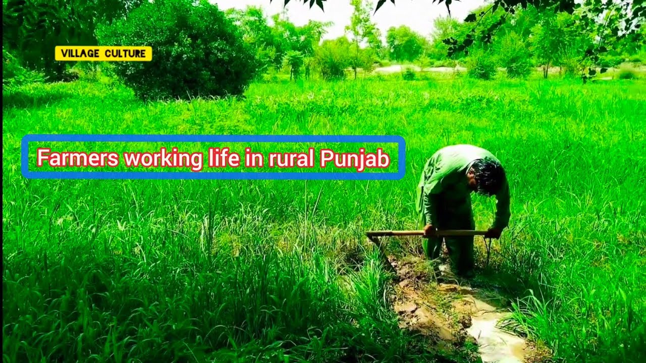 Rural farmer tough working life in village Punjab | Peter Tubewell ...
