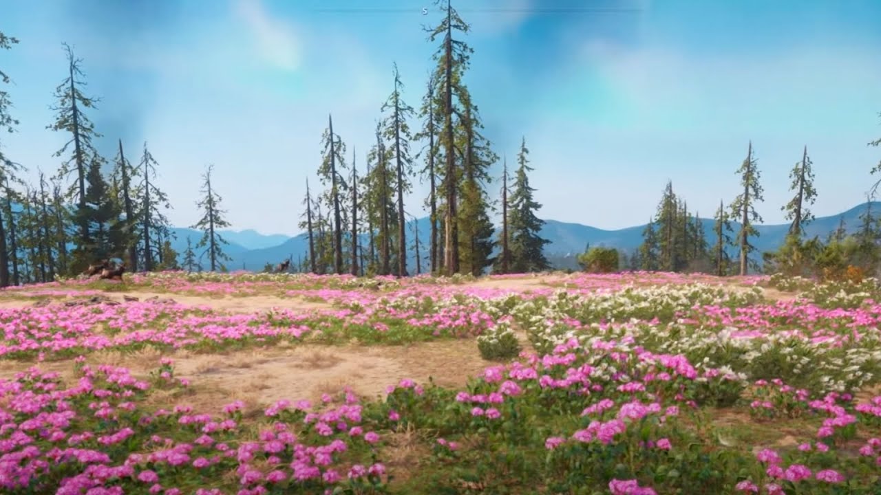 HOW BIG IS THE MAP in Far Cry New Dawn? Run Across the Map (2022) - YouTube