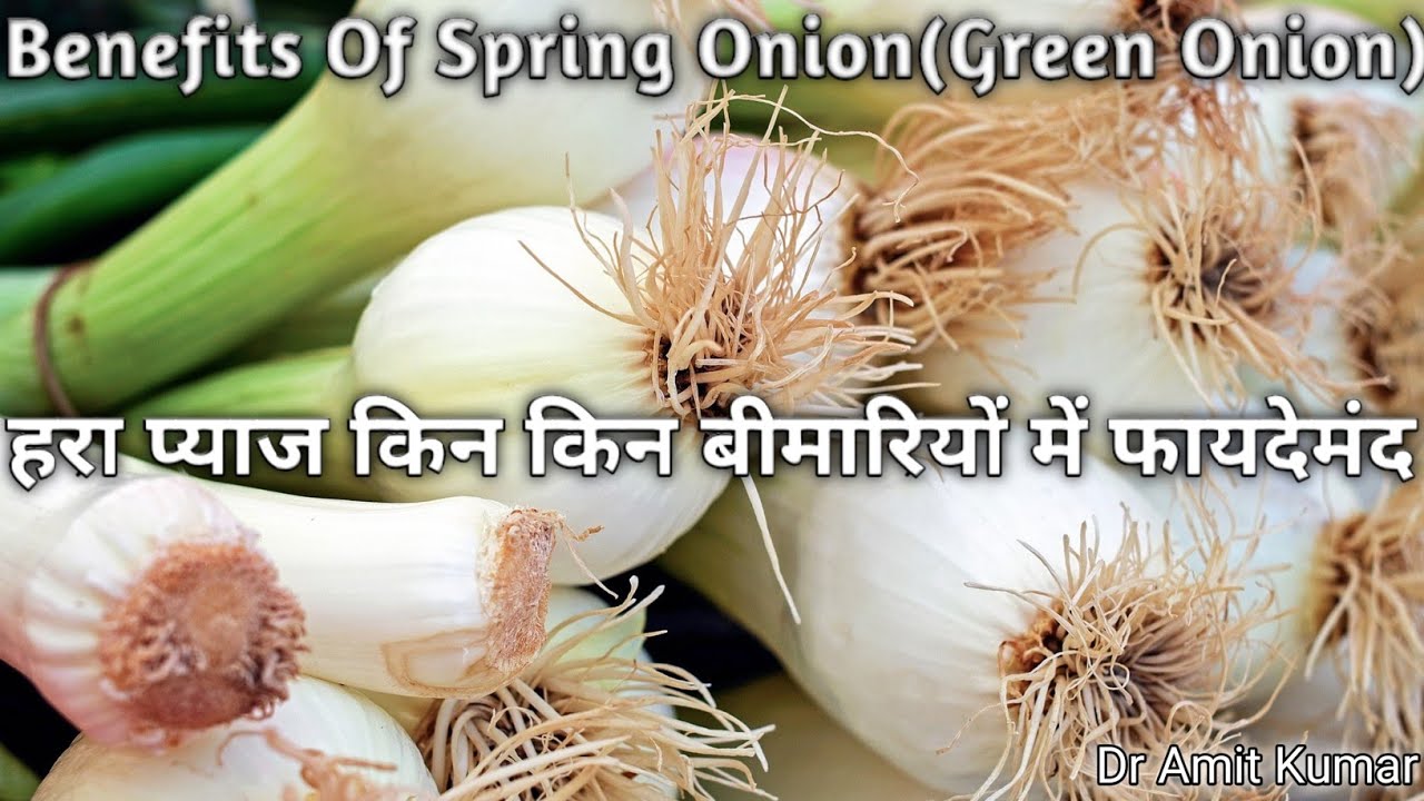 Benefits Of Spring Onion | हरा प्याज किन किन बीमारियों में फायदेमंद ...
