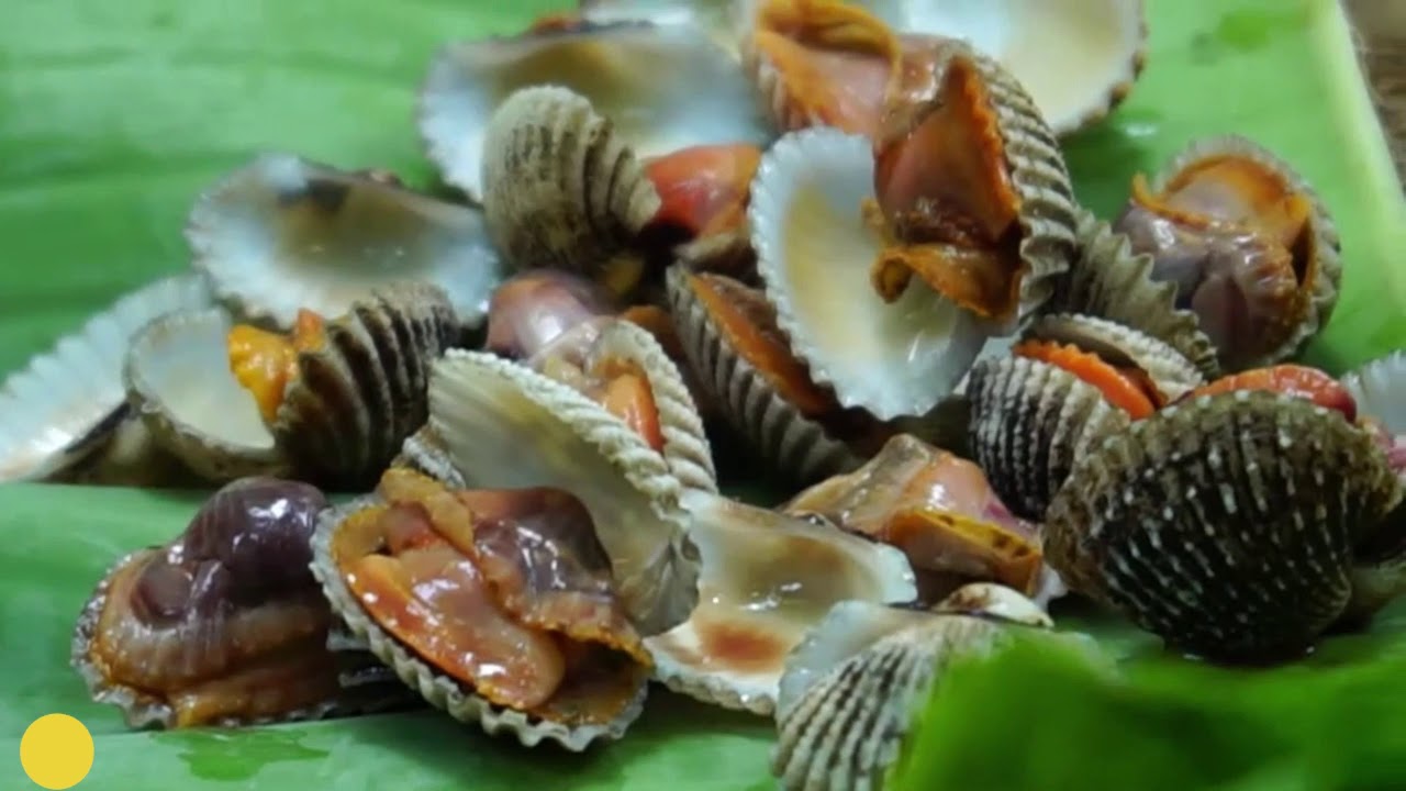 Yummy Spicy Fried Shell and Khmer Basil Recipe - KH Daily - YouTube