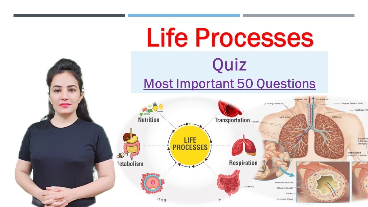 CBSE Class 10 | MCQ Practice | Life Processes | - YouTube