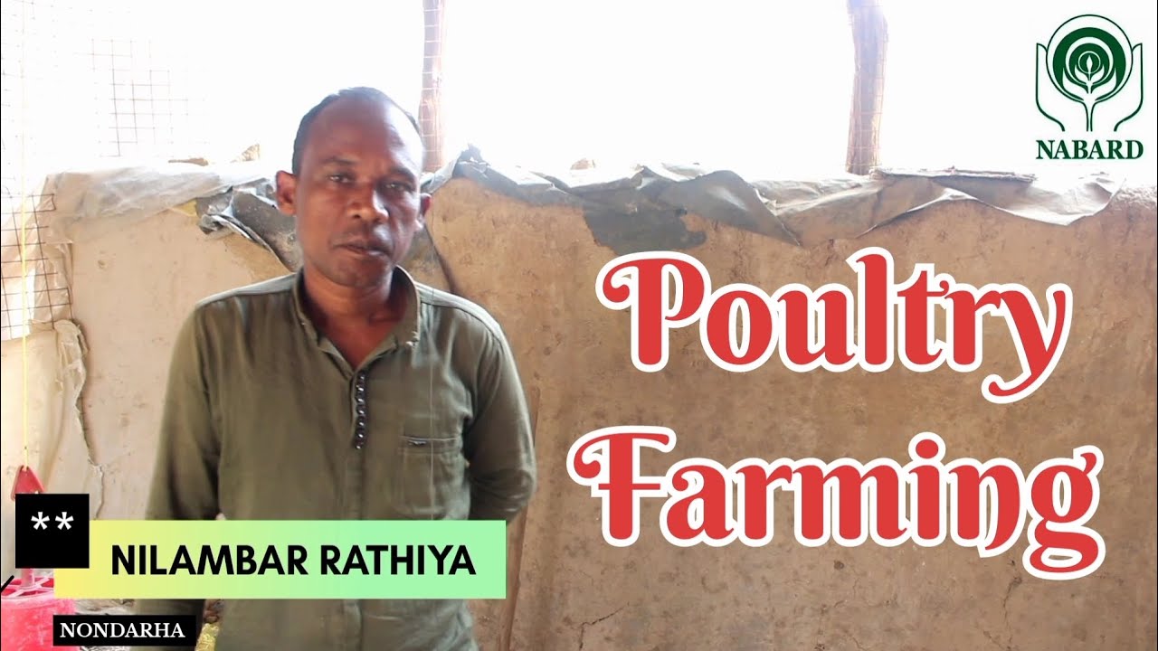 Nabard Broiler Farming Project