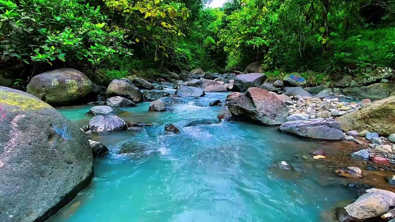 Calming River Ambience – Crystal Stream in the Mountains - YouTube