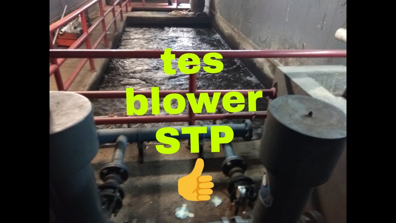 Tes Blower STP & MOTOR STP - YouTube