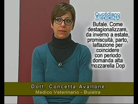 Concetta Avallone. Come destagionalizzare bufale e spostare lattazione in estate