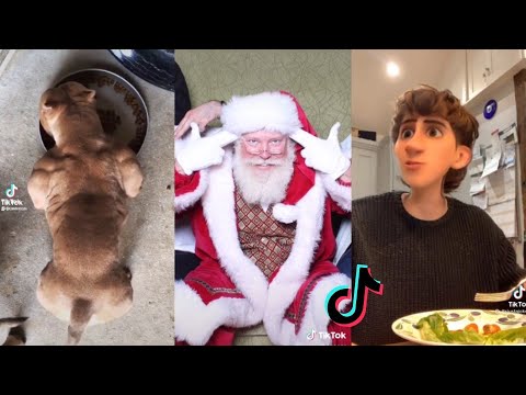 Funny TikToks That Santa Approves Of - YouTube