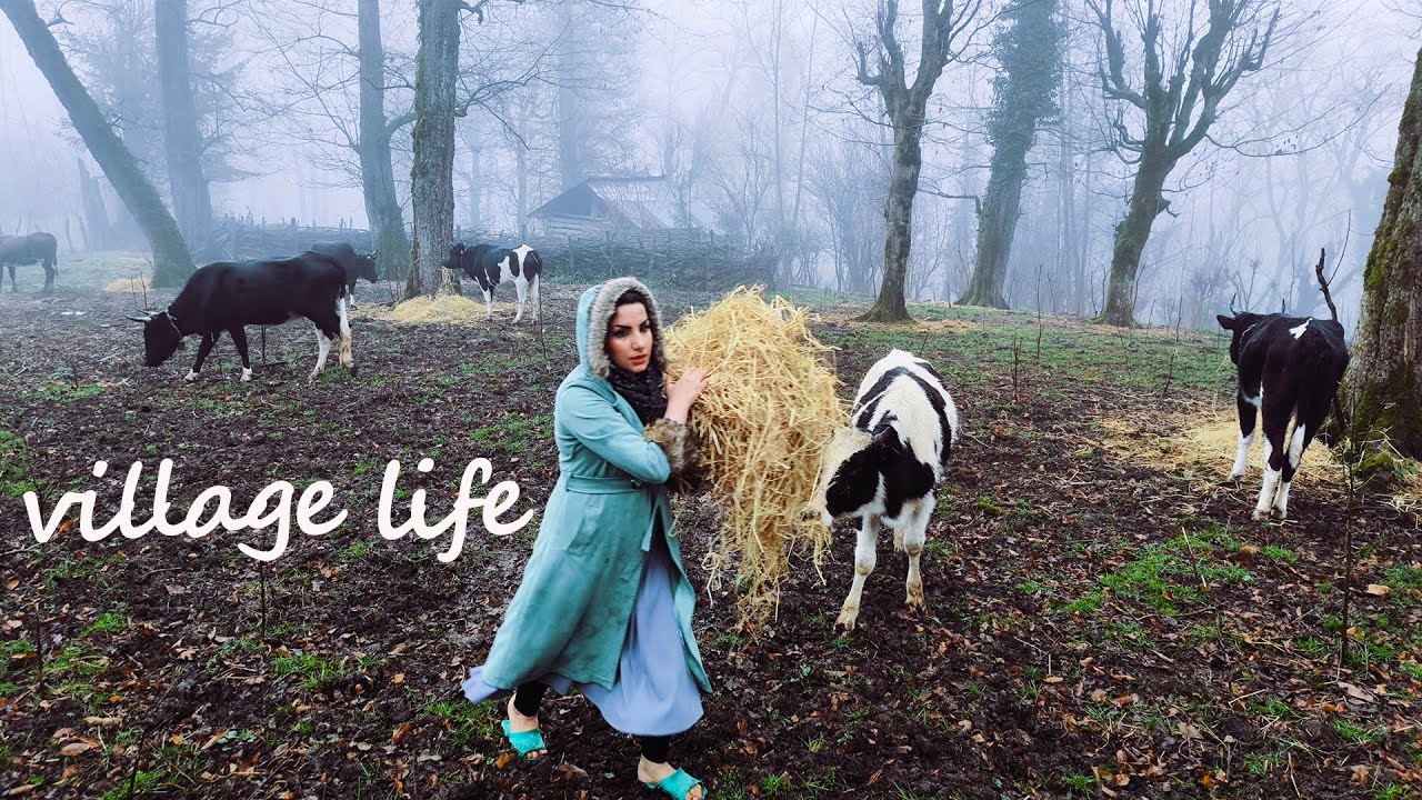 IRAN nomadic life | daily routine village life of Iran | Nomadic ...