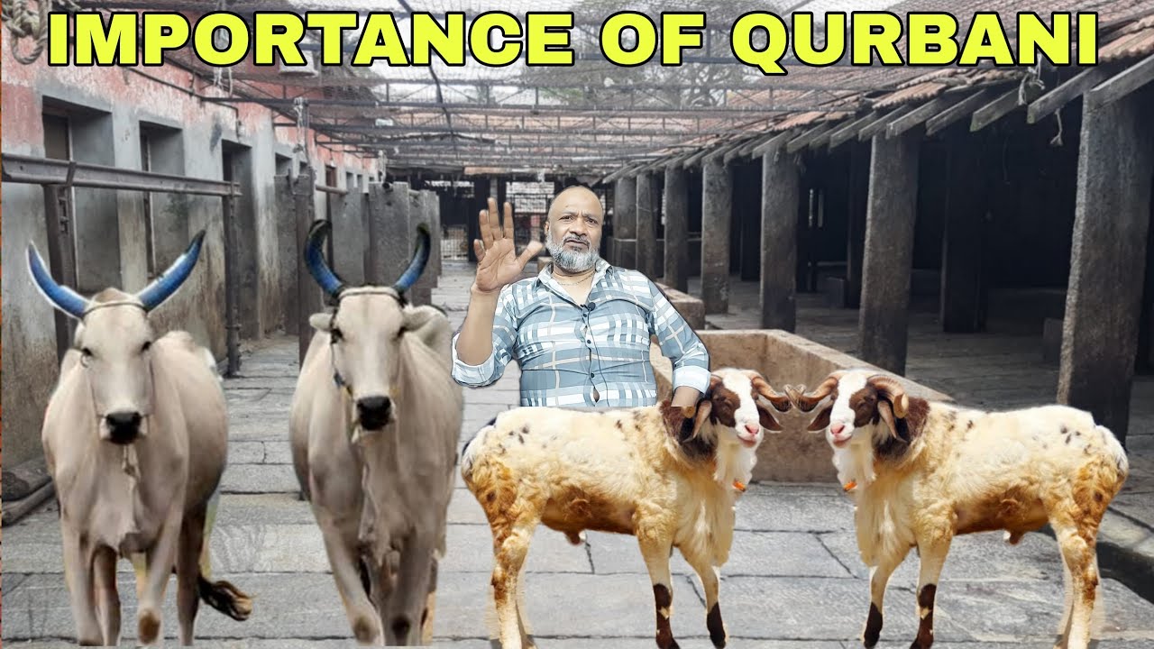 Importance Of Qurbani Nayaz Pasha Statement Kya Hai YouTube importance-of-qurbani-nayaz-pasha-statement-kya-hai-youtube