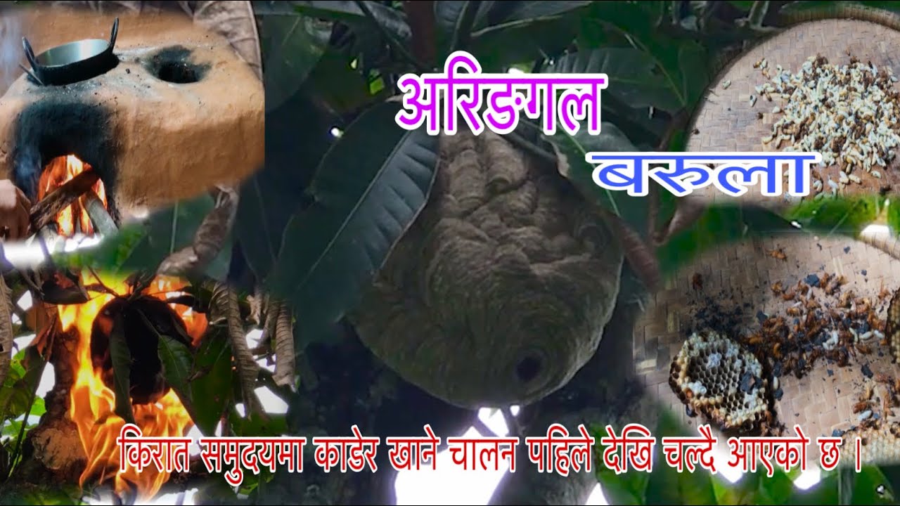 बारुला, अरिङगल barula . #traditional - YouTube
