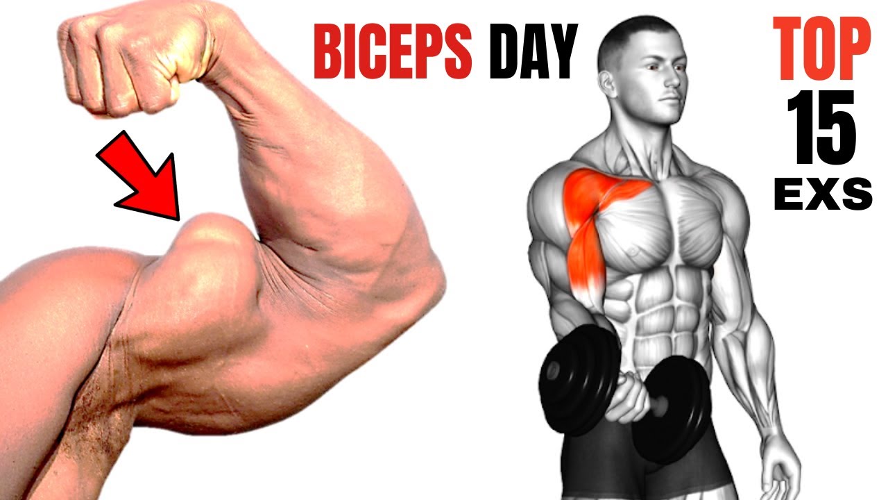 15 BEST BICEPS WORKOUT AT GYM TO GET BIGGER ARMS FAST - YouTube