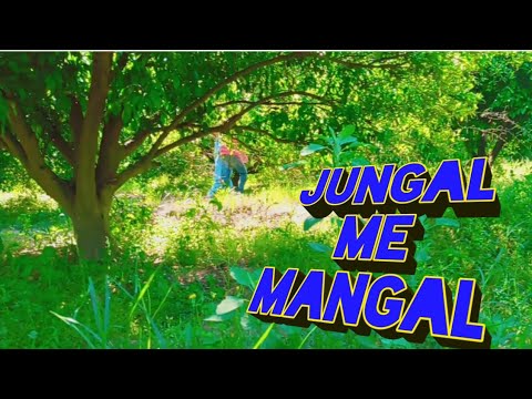 Jangal me mangal in Pakistan - YouTube