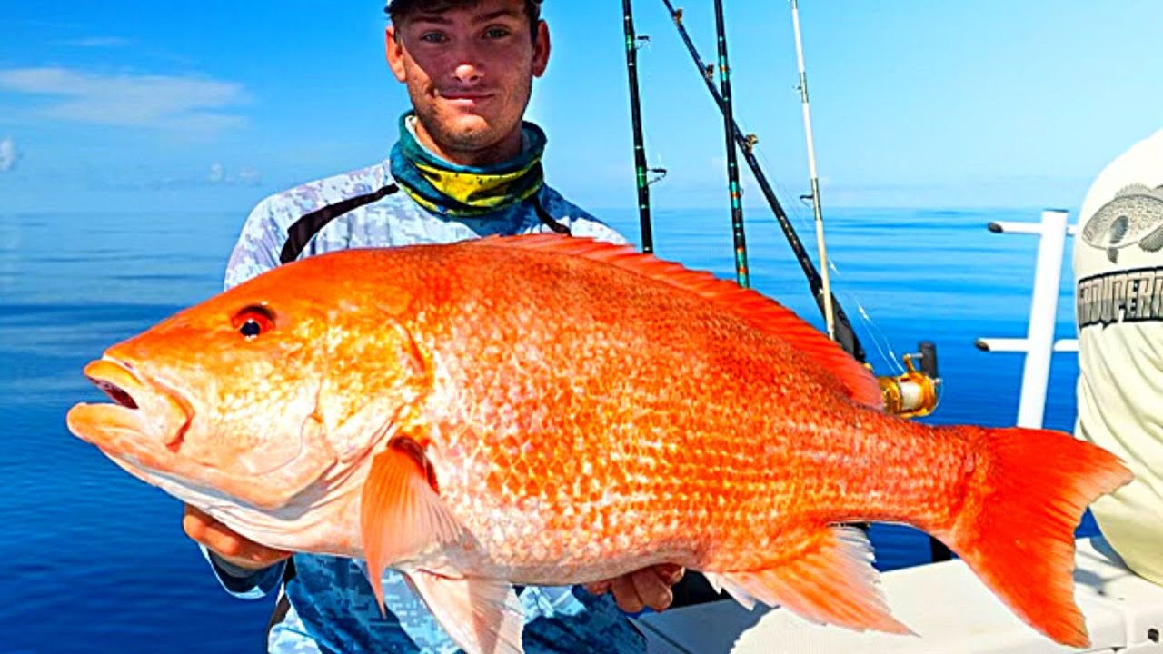 How to Catch and Find Red Snapper Offshore Tampa Bay!! - YouTube
