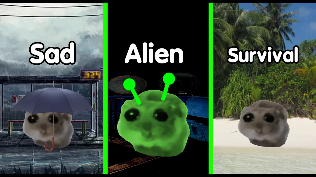 Sad Hamster Meme #2 - YouTube