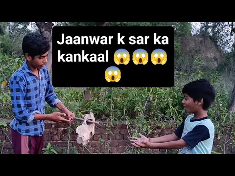 jaanwar k sir ka kankaal 😱 - YouTube