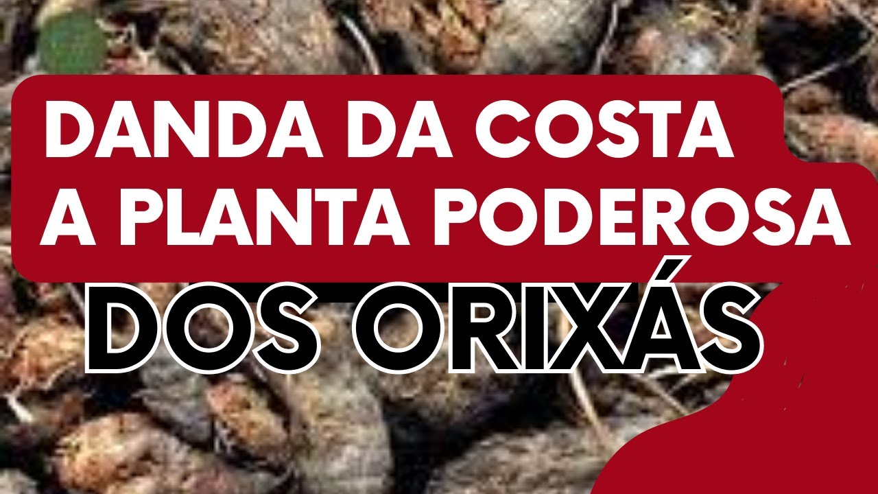 DANDA DA COSTA - O RESGATE DO ORIXÁ @KitandadosOrixas - YouTube