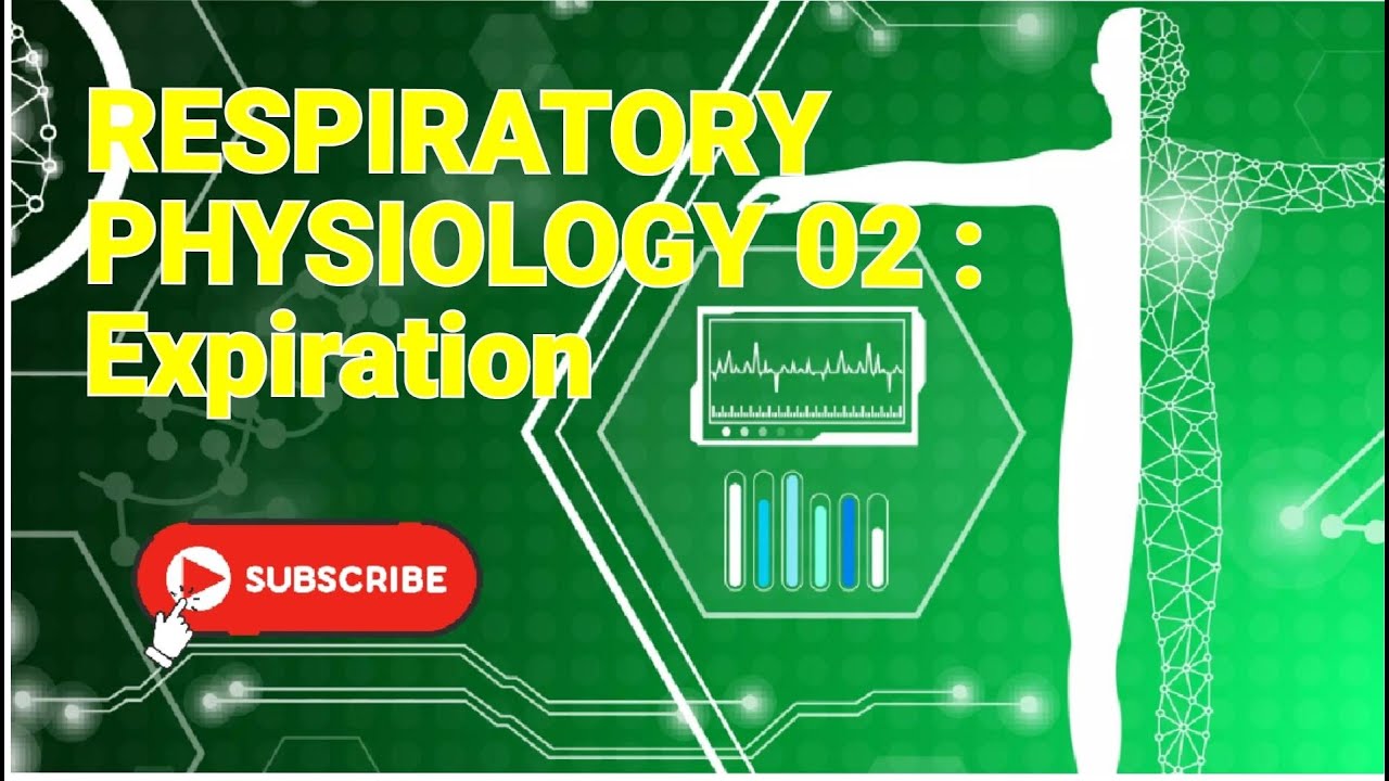 Respiratory Physiology 02 : Expiration - Quite Expiration and Forced ...