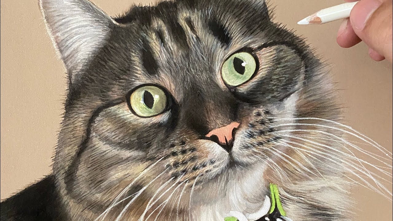 [Progress of ‘Spaz’ the tabby cat.] ️🐱 - YouTube