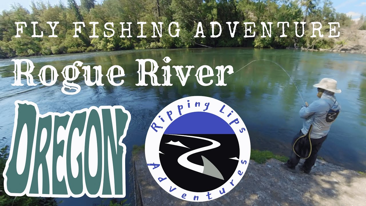 Rogue River Trout - Second Experience Fly Fishing in Trail, Oregon ...