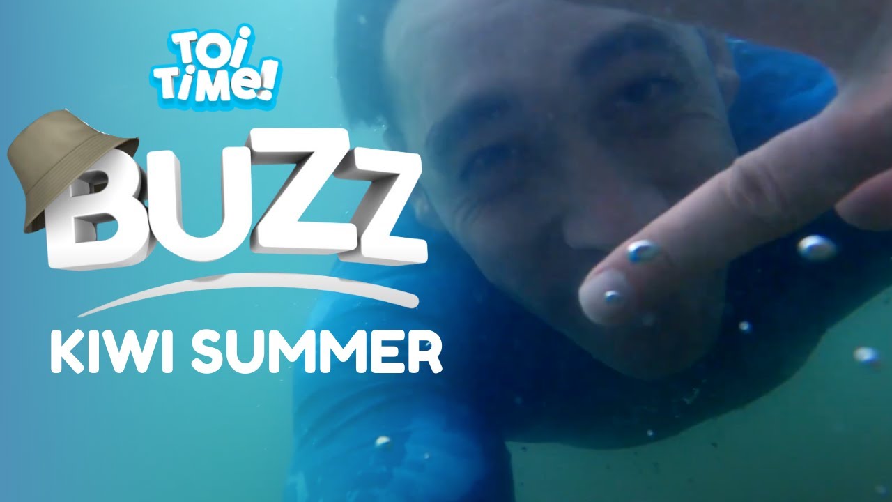 Toi Time | Buzz's Adventures | Kiwi Summer - YouTube