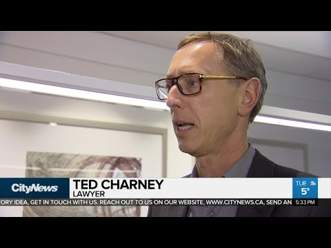 Ontario College Strike - Day 29 - Lawyer Ted Charney on the students ...