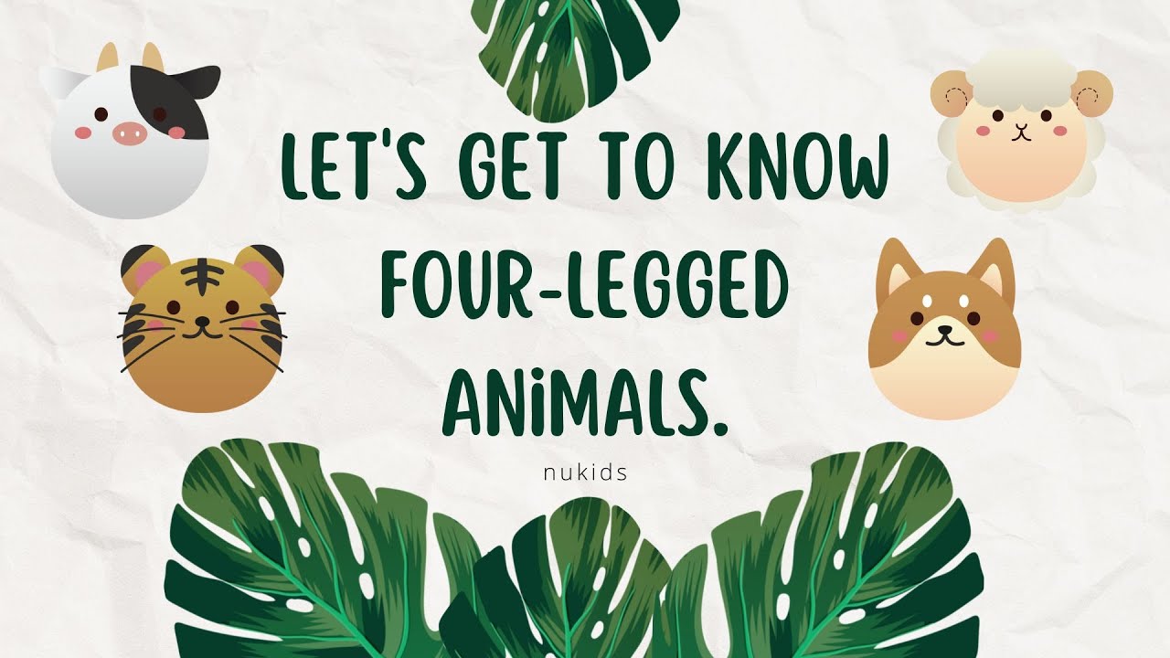 LET'S GET TO KNOW FOUR-LEGGED ANIMALS - YouTube