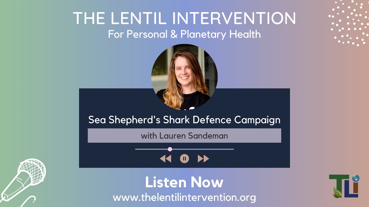 Podcast S4 Ep05: Lauren Sandeman - Sea Shepherd’s Shark Defence ...