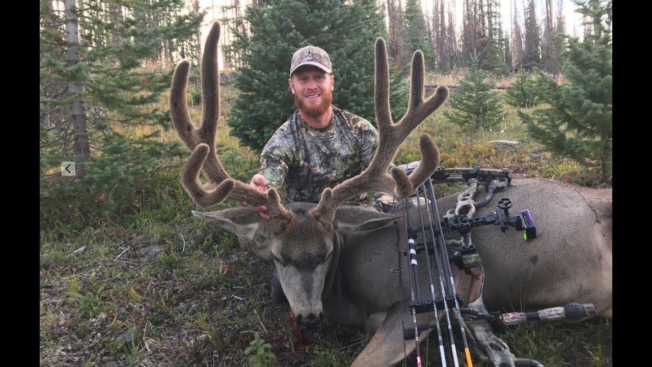 190'' Archery High Country Mule Deer Hunt - YouTube