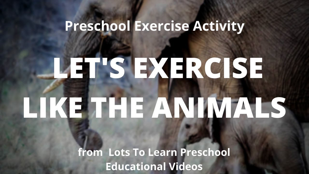 Preschool Exercise Activity | Let's Exercise Like The Animals | Fun ...