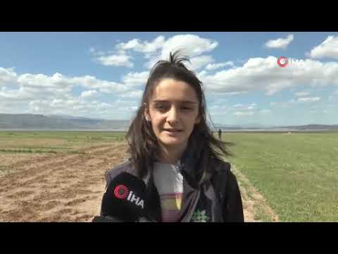 Öğrenciler tarlada çiftçilik yapıyor