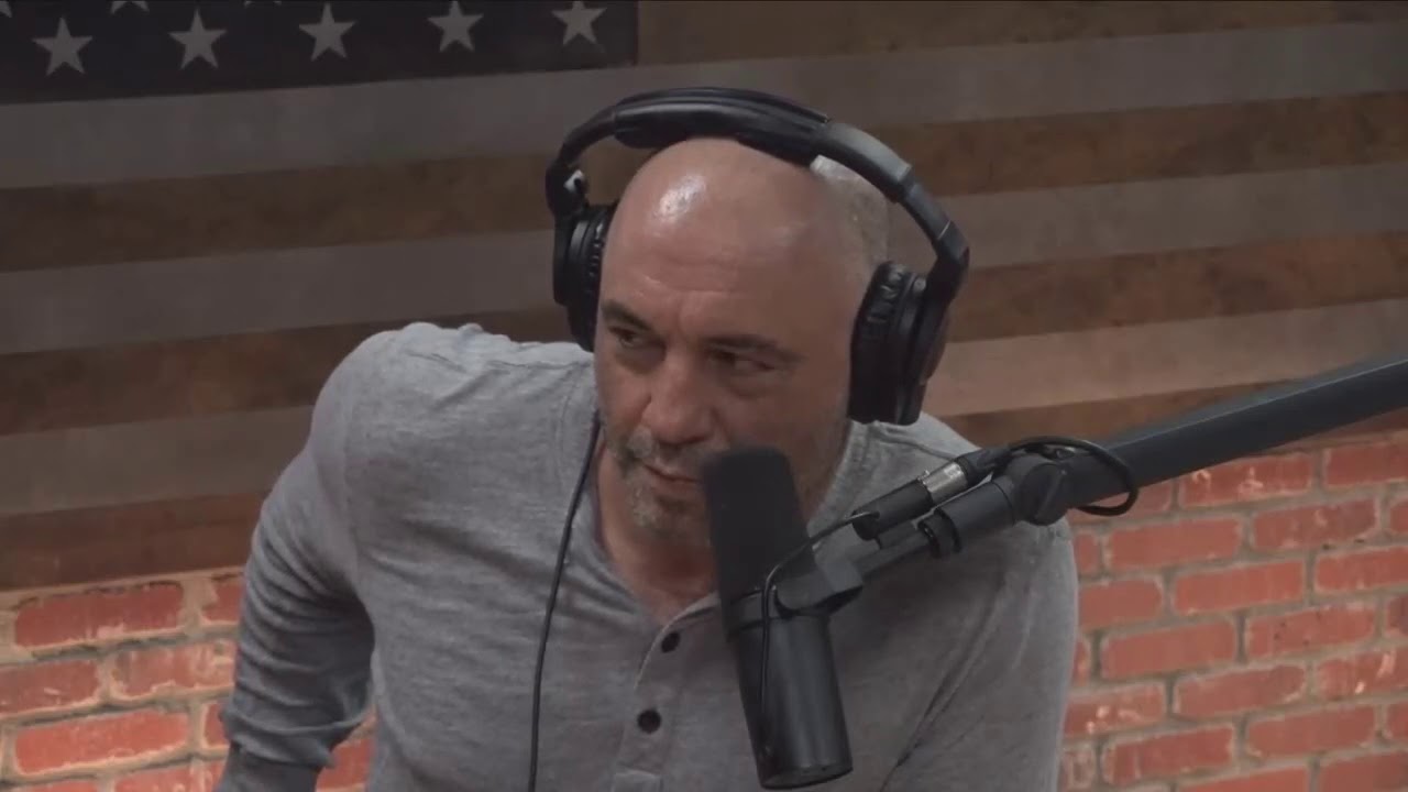 Joe Rogan changes the subject - Dinosaur skeletons - YouTube