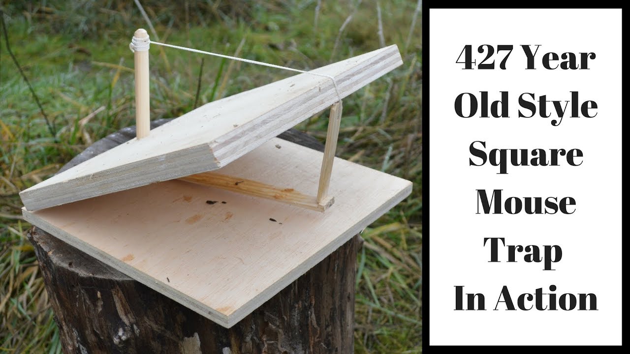 427 Year Old Style Square Mouse Trap In Action. - YouTube