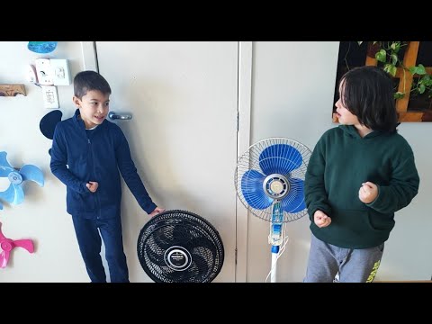 PIETRO NATEL NA CASA DO PEDRO - YouTube