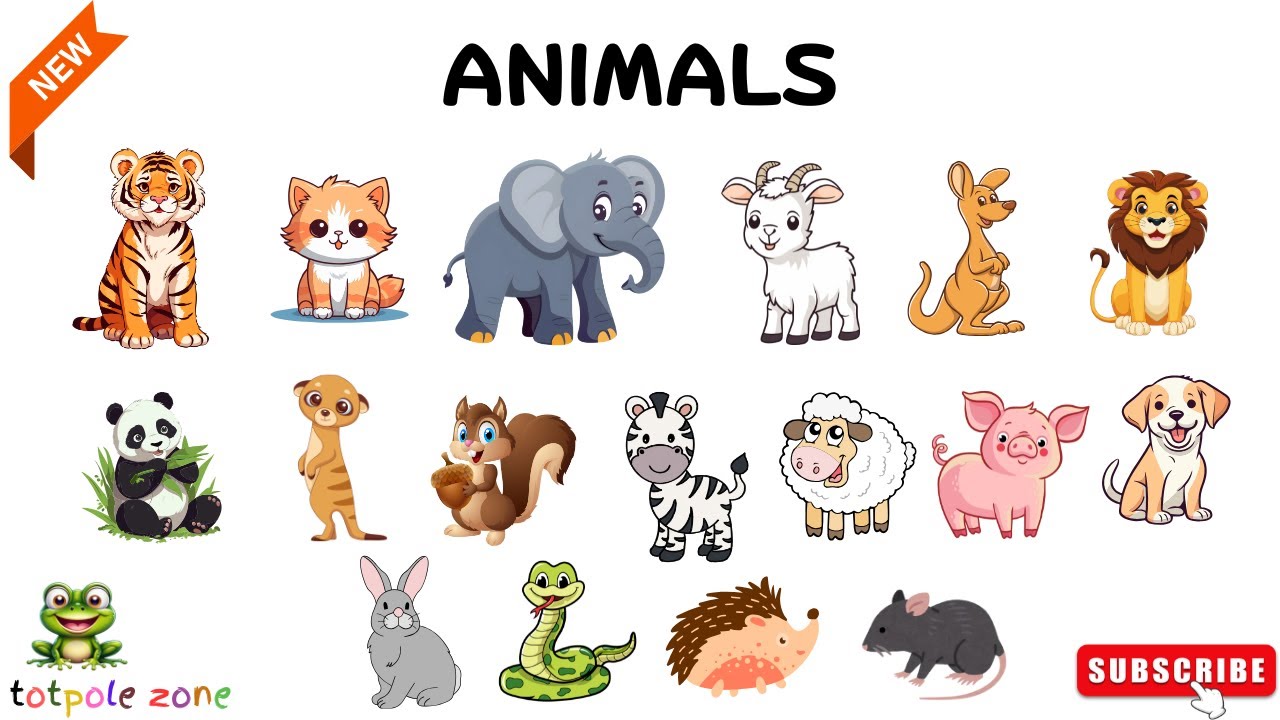 Animals vocabulary in English | Common animals name | Wild and farm ...