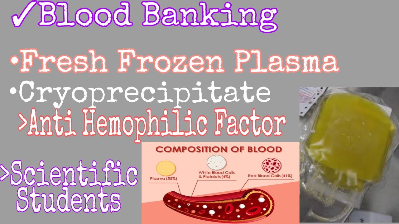 Fresh Frozen Plasma | Cryoprecipitate | Anti hemophilic factor | Blood ...
