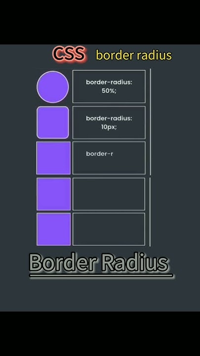 Border Property In Csscoding Css Javascript Webdevelopment Html Coderlifestyle Youtube